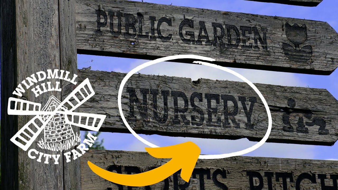 Windmill Hill City Farm Nursery - YouTube