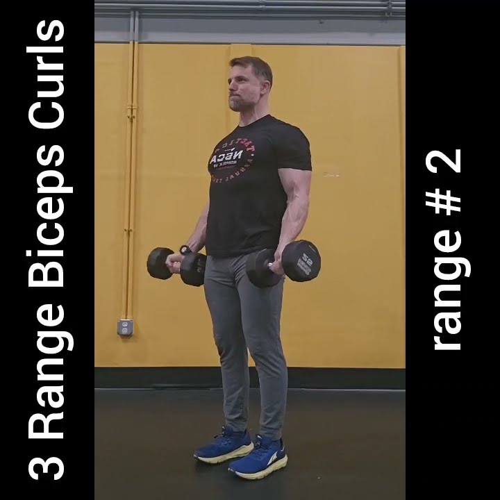 3 Range Biceps Curl- DB - YouTube