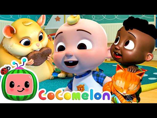 Woof Woof Meow Meow | Cody and Friends! Sing with CoComelon - Videos ...