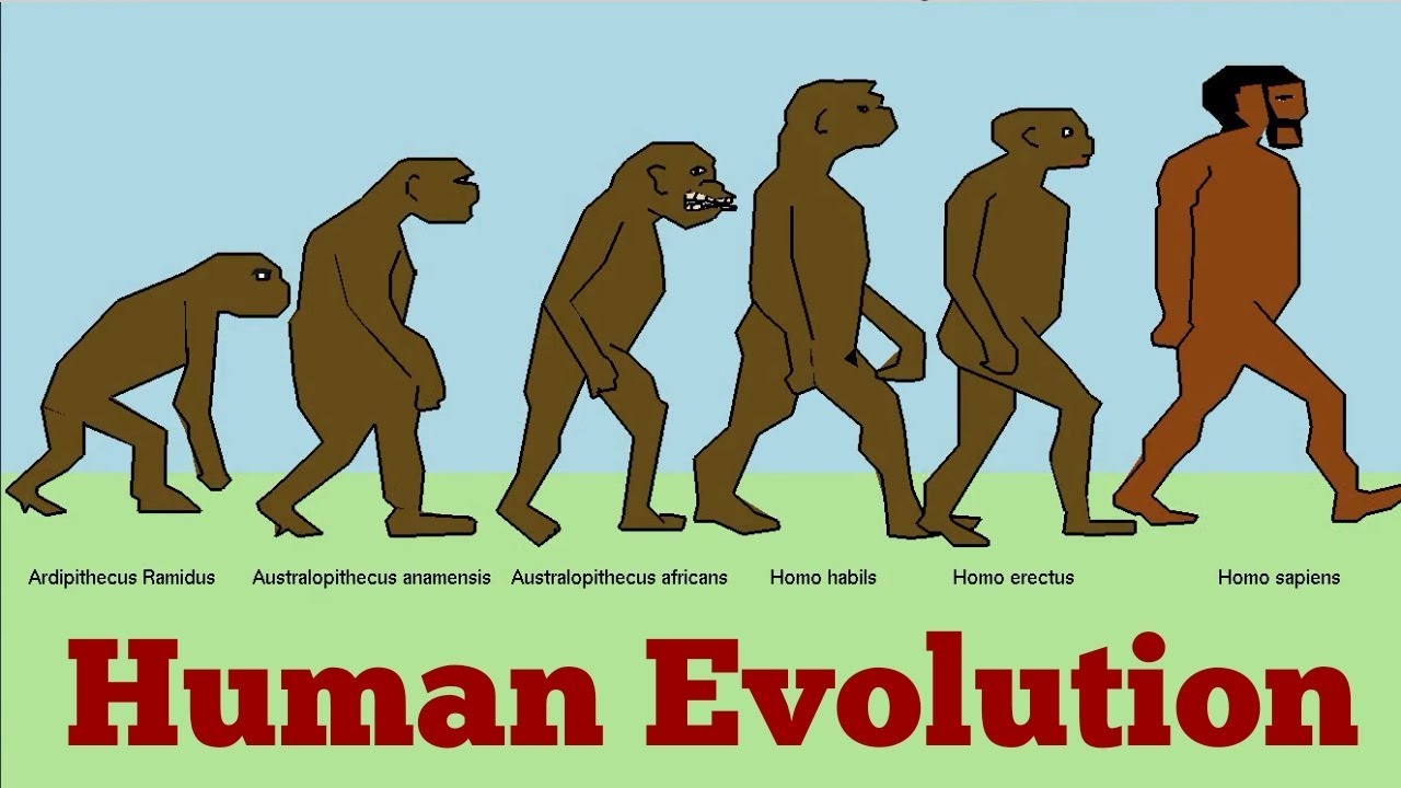 Human Evolution | A mini project OpenGL - YouTube