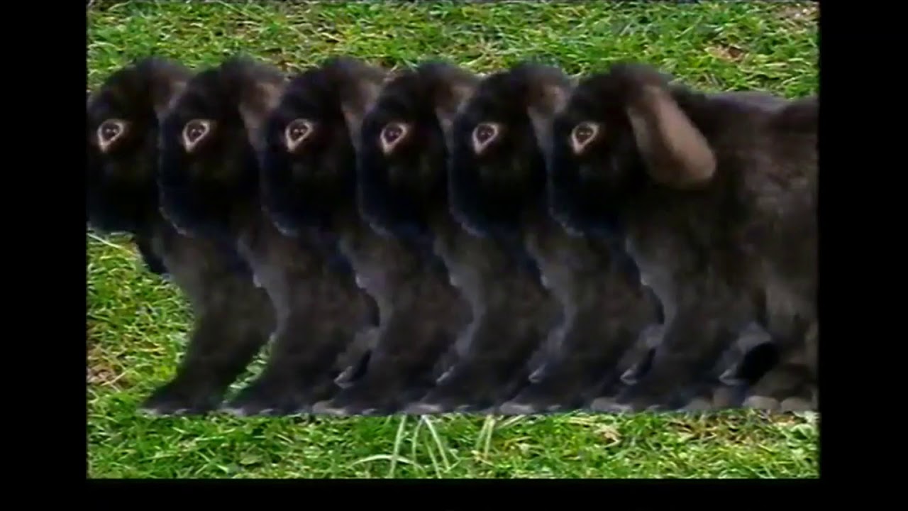 CBeebies on BBC Two: Easter Holidays Promo (2002) - YouTube