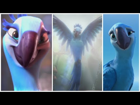 [Rio] The Complete Animation of Jewel