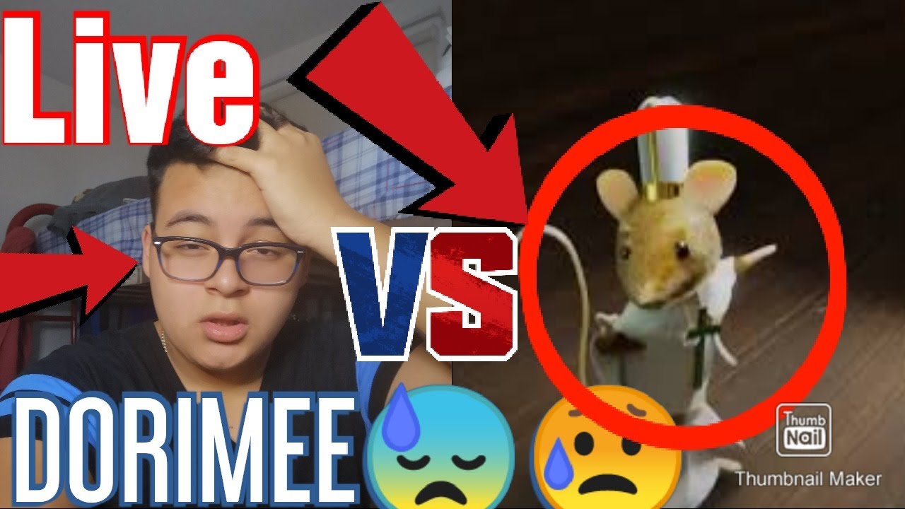 10 HORAS RATA BAILANDO DORIME || 10 HOURS OF A RAT DANCING DORIME ...