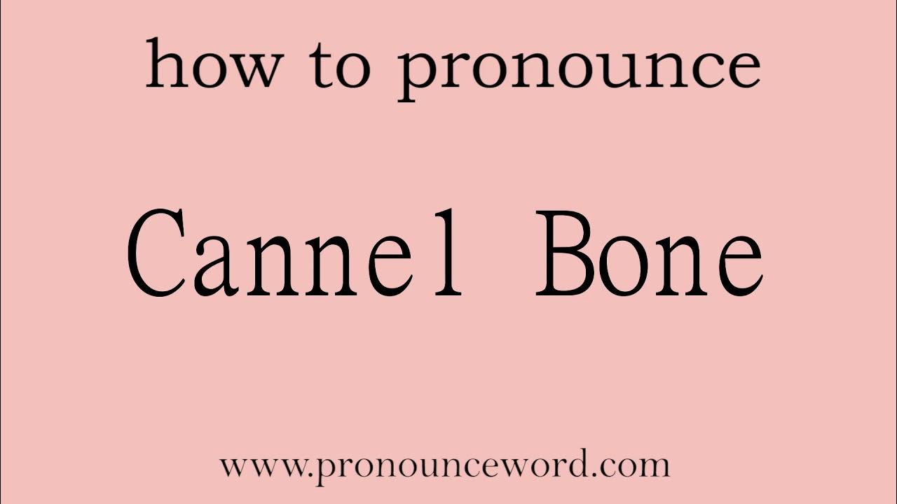Cannel Bone How To Pronounce The English Word Cannel Bone Start With cannel-bone-how-to-pronounce-the-english-word-cannel-bone-start-with