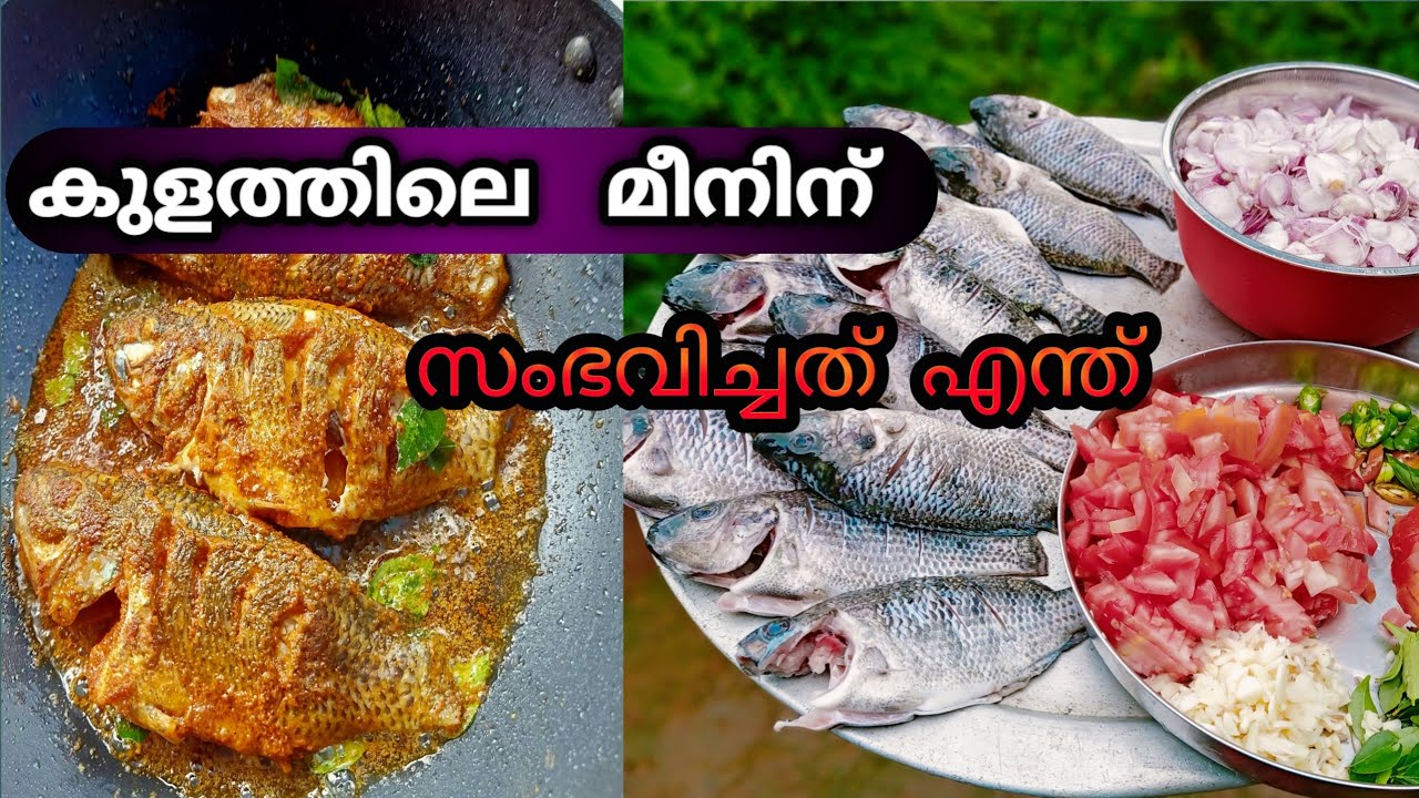Naadan kappayum meenum| fish curry &kappa || thilapiya fish - YouTube