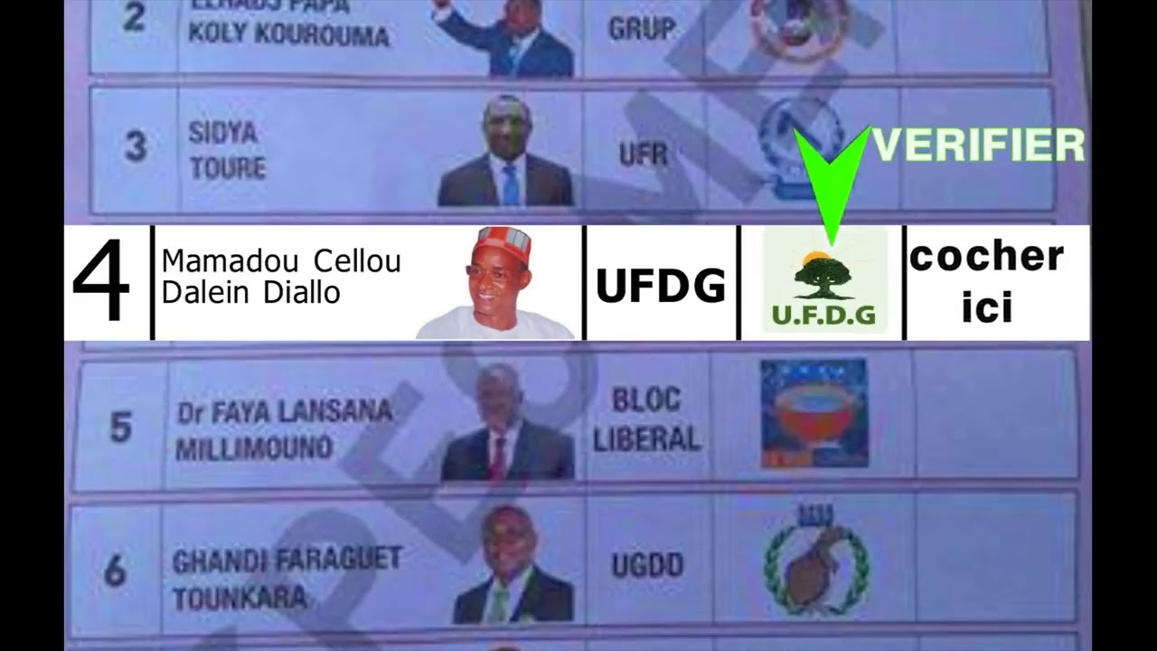 UFDG Président de la Guinée 2020 - YouTube