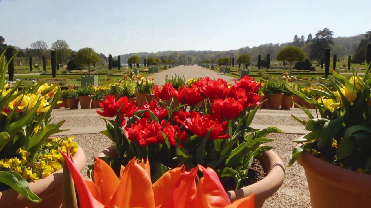 Spring Bulb Festival at Trentham Gardens - Time Lapse - April 2020 ...