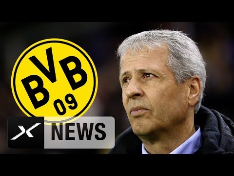 Fix! Lucien Favre wird neuer BVB-Trainer | Borussia Dortmund | SPOX