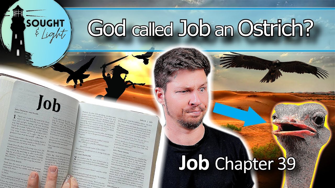 THE BOOK OF JOB- part 10 - God Rebukes Job! -Bible Study (Chapter 39 ...