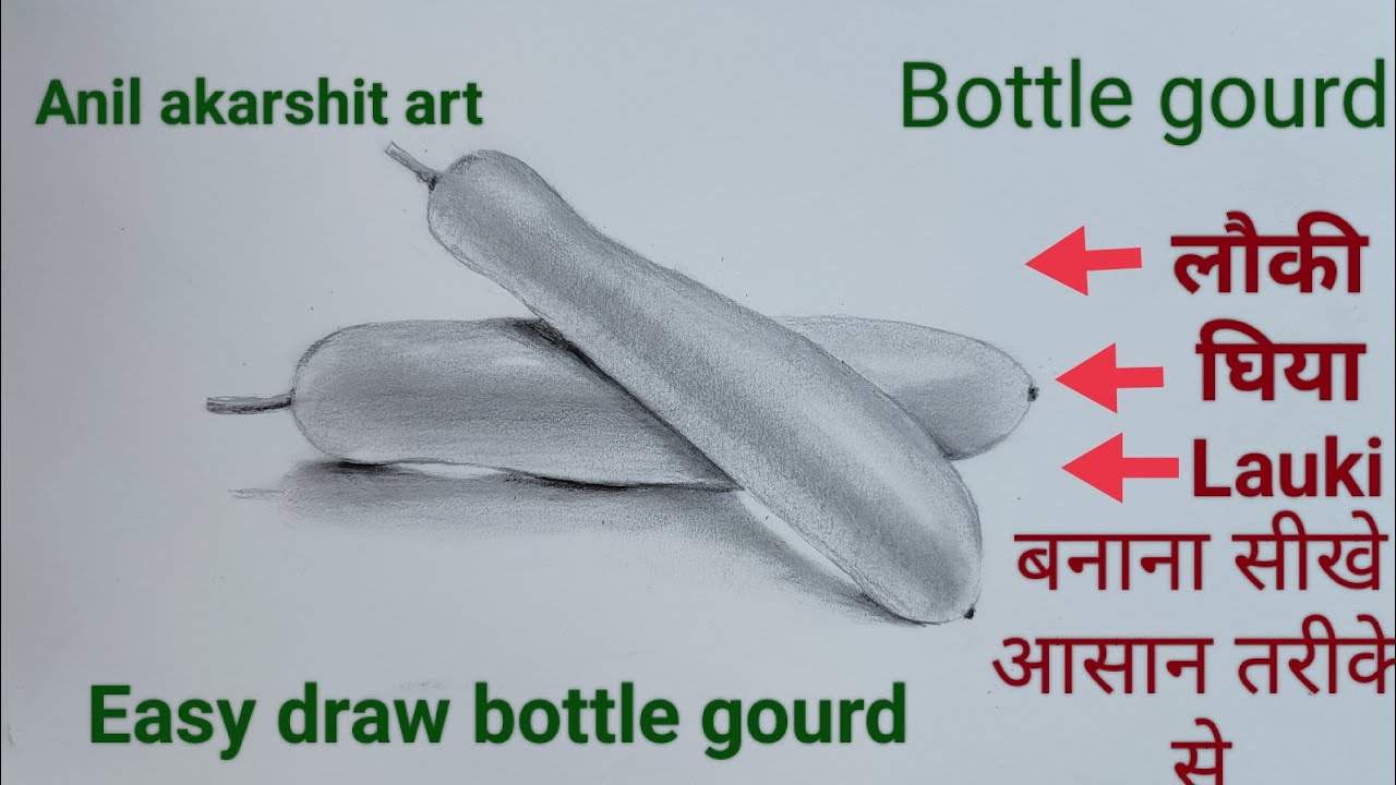 ||लौकी|| ||Lauki|| ||घिया|bottle gourd बनाना सीखे ||Easy draw bottle ...