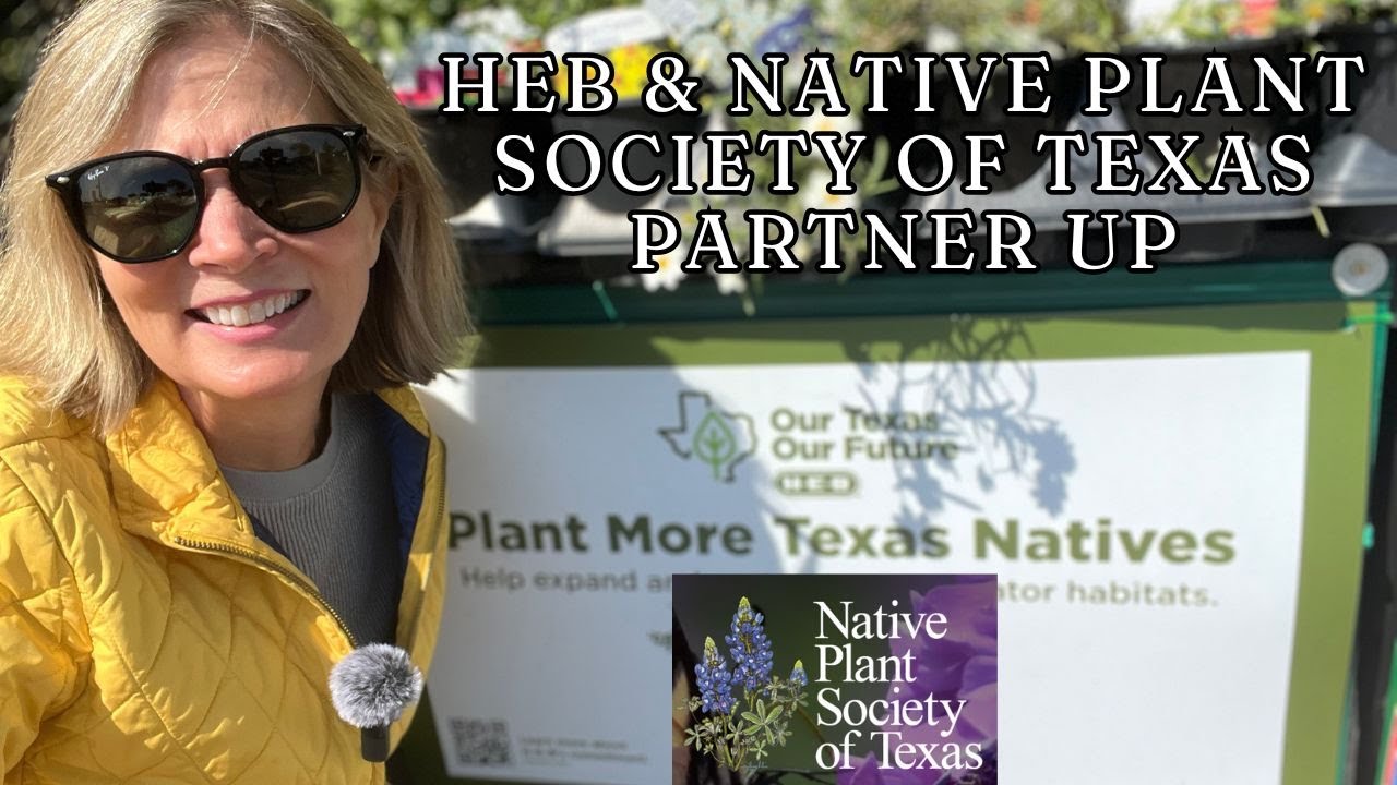 HEB & Native Texas Plants - YouTube