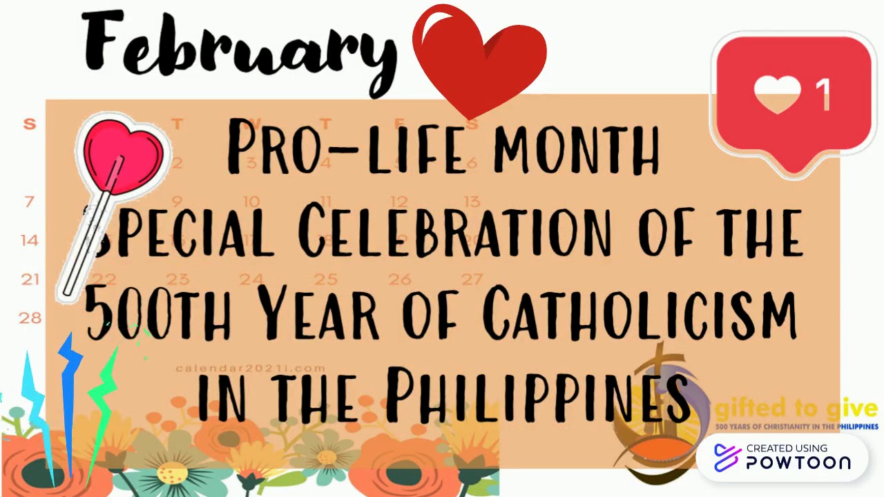 SFSA Video - YouTube