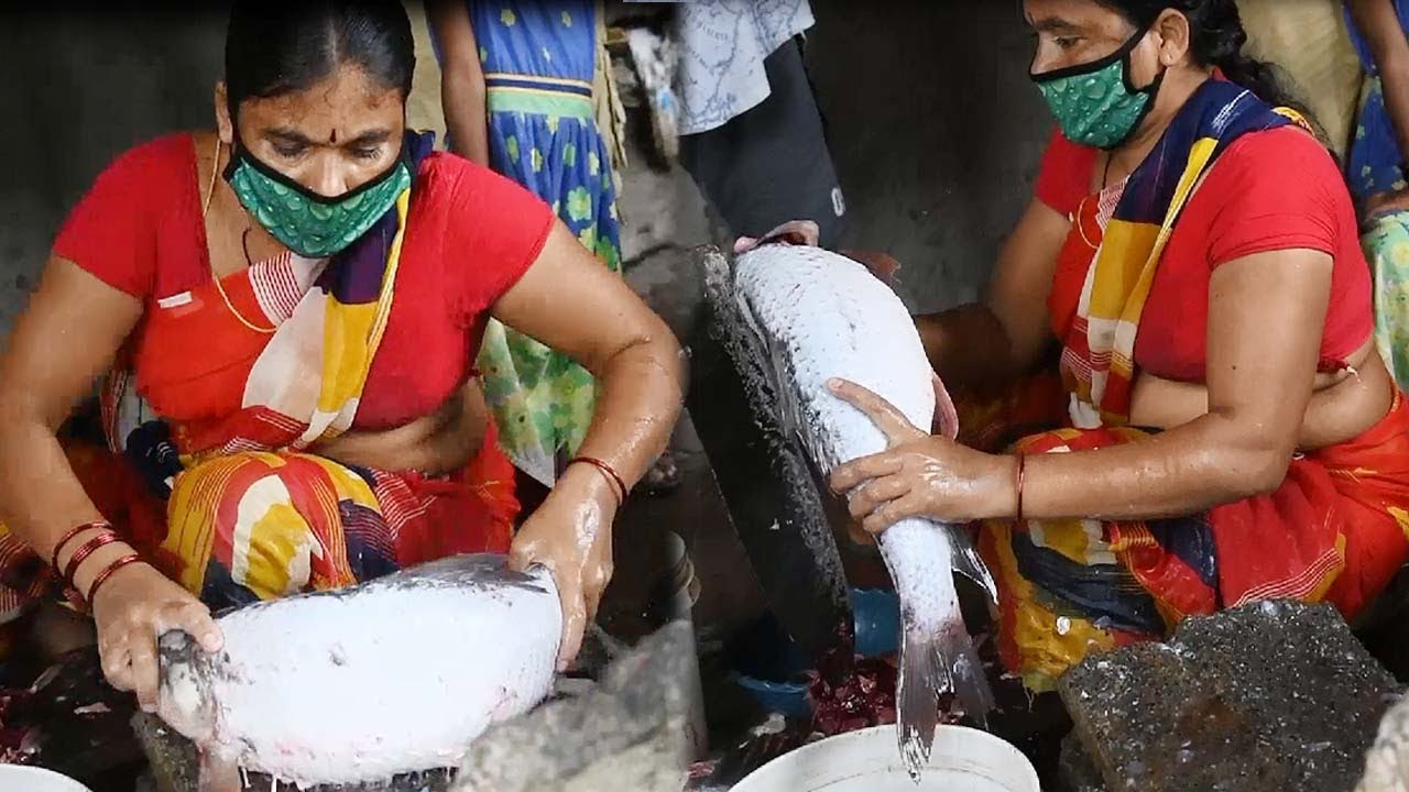 Amazing Big Fish cutting Skills by Village Woman|Big Live Fish|Village ...