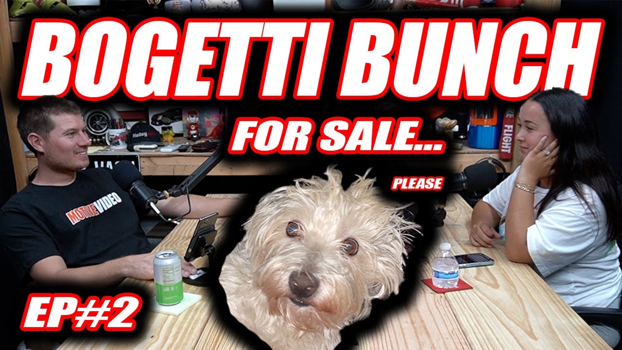 Trying to Get Rid Of My Radicalized Rescue Dog & More... | Bogetti ...
