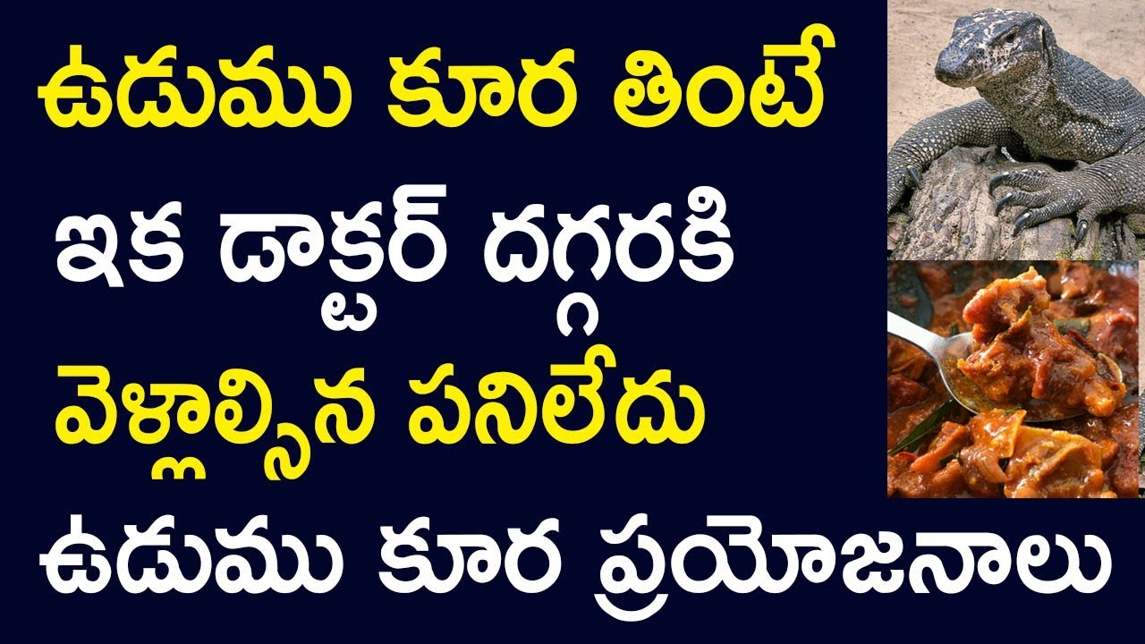 ఉడుము కూర తింటే ఇక డాక్టర్ దగ్గరకి వెళ్లాల్సిన పనిలేదు | Monitor Lizard ...
