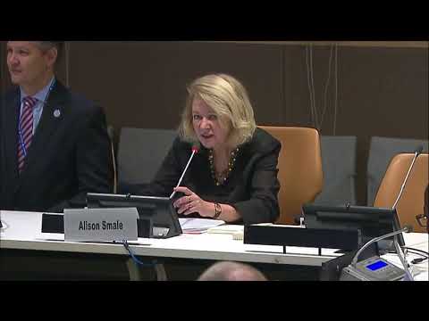 DPI/NGO Fall Orientation - Remarks by Alison Smale (Global ...