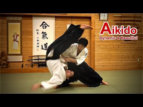 Amazing! Dynamic and beautiful Aikido 02 ‐ Shirakawa Ryuji shihan - YouTube