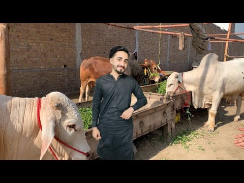 Jora ka 20 lac demand 😱 - YouTube