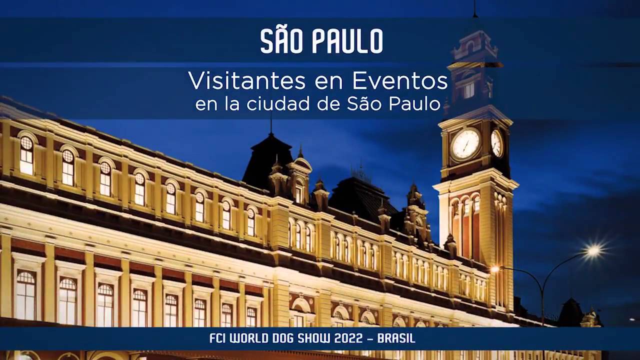 fci-world-dog-show-2022-brasil-youtube
