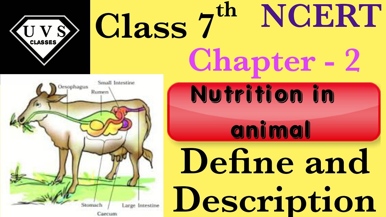 Chapter 2 Science Class 7th (NCERT) - YouTube