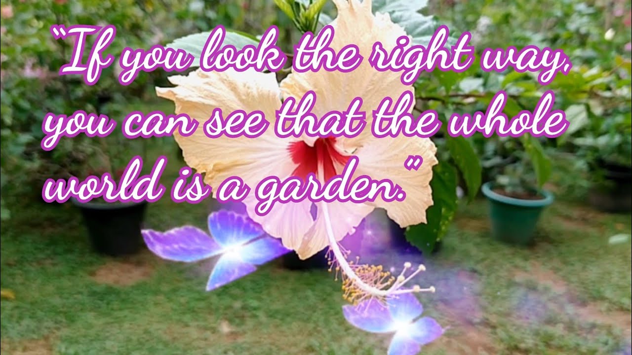 Beautiful Flower Saying: If you look the right way, you can see that ...