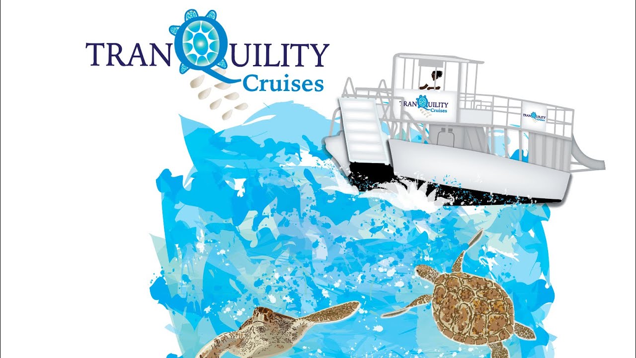 Carlisle Bay Barbados Turtle & Shipwreck Snorkelling Part 2 22 October ...