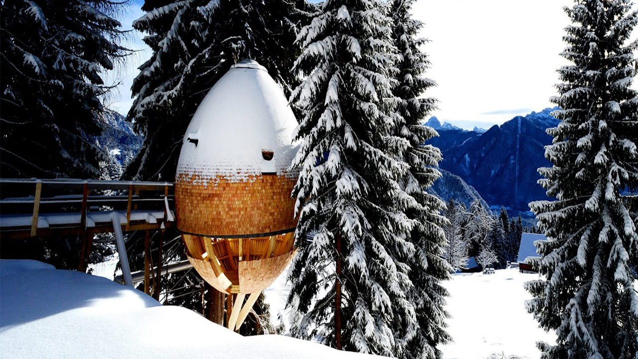Tiny House! Egg Houses On Trees - YouTube