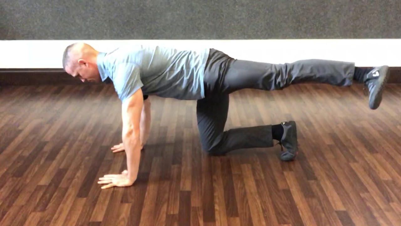 Quadruped Kick Backs DF - YouTube