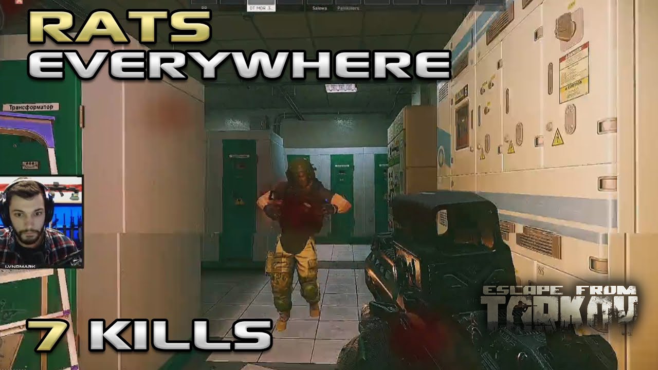 Rats Everywhere - Escape From Tarkov - YouTube