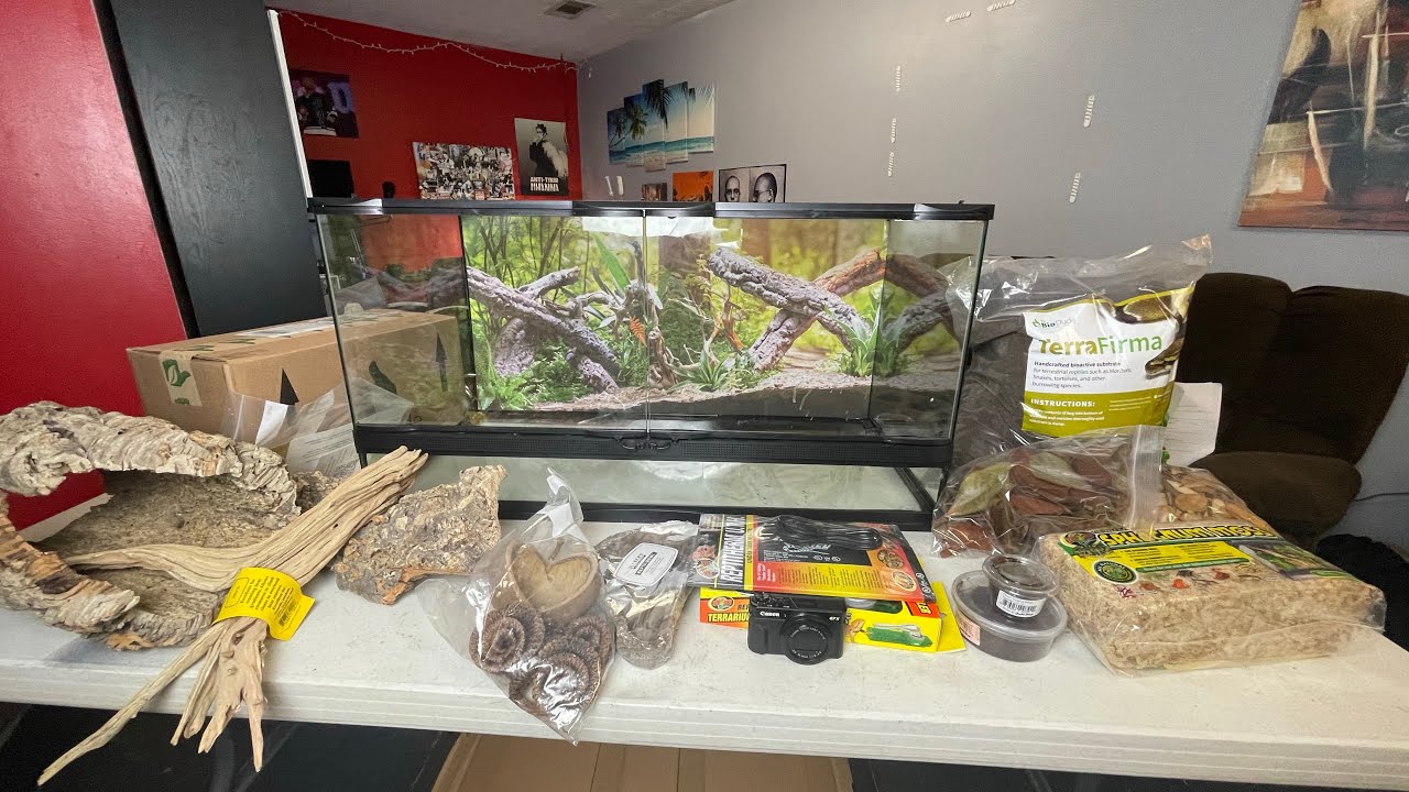 Upgrading Berry To 40 Gallon Bioactive Enclosure. - YouTube