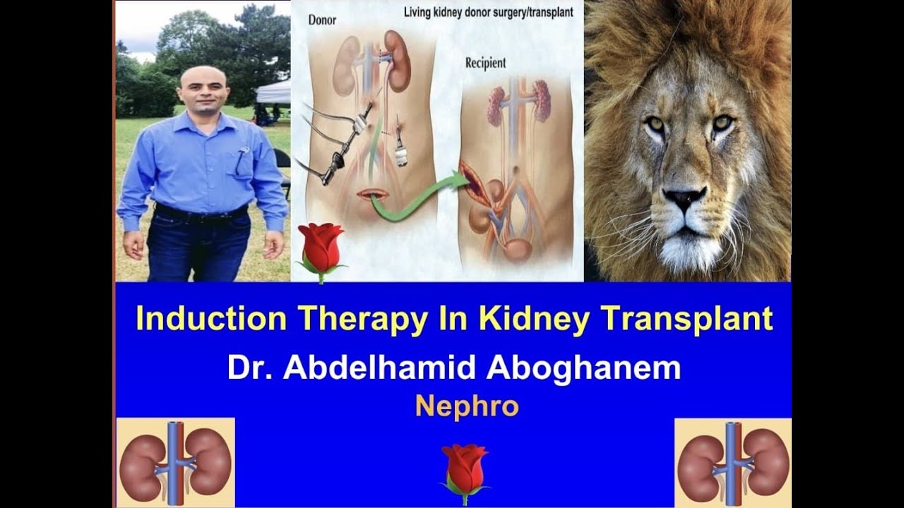 Induction Therapy In Kidney Transplantعلم ينتفع به , زكاه العلم نشره ...