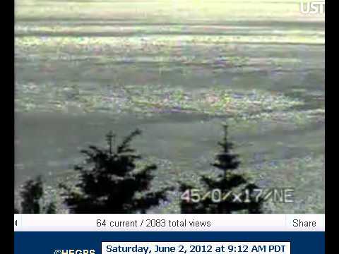 Fishing eagles at Sandstone Point..[5188].wmv