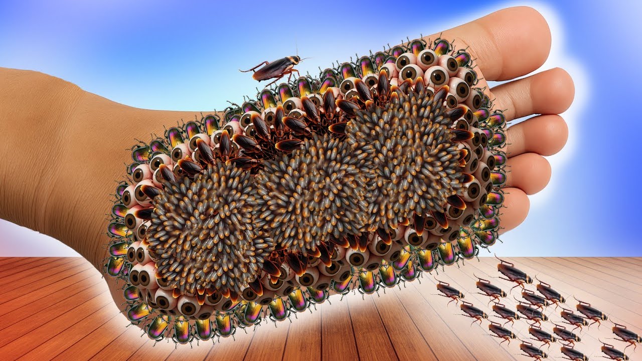 ASMR satisfying Foot Spa Animation [ASMR visual] | Deep Cleaning, Foot ...