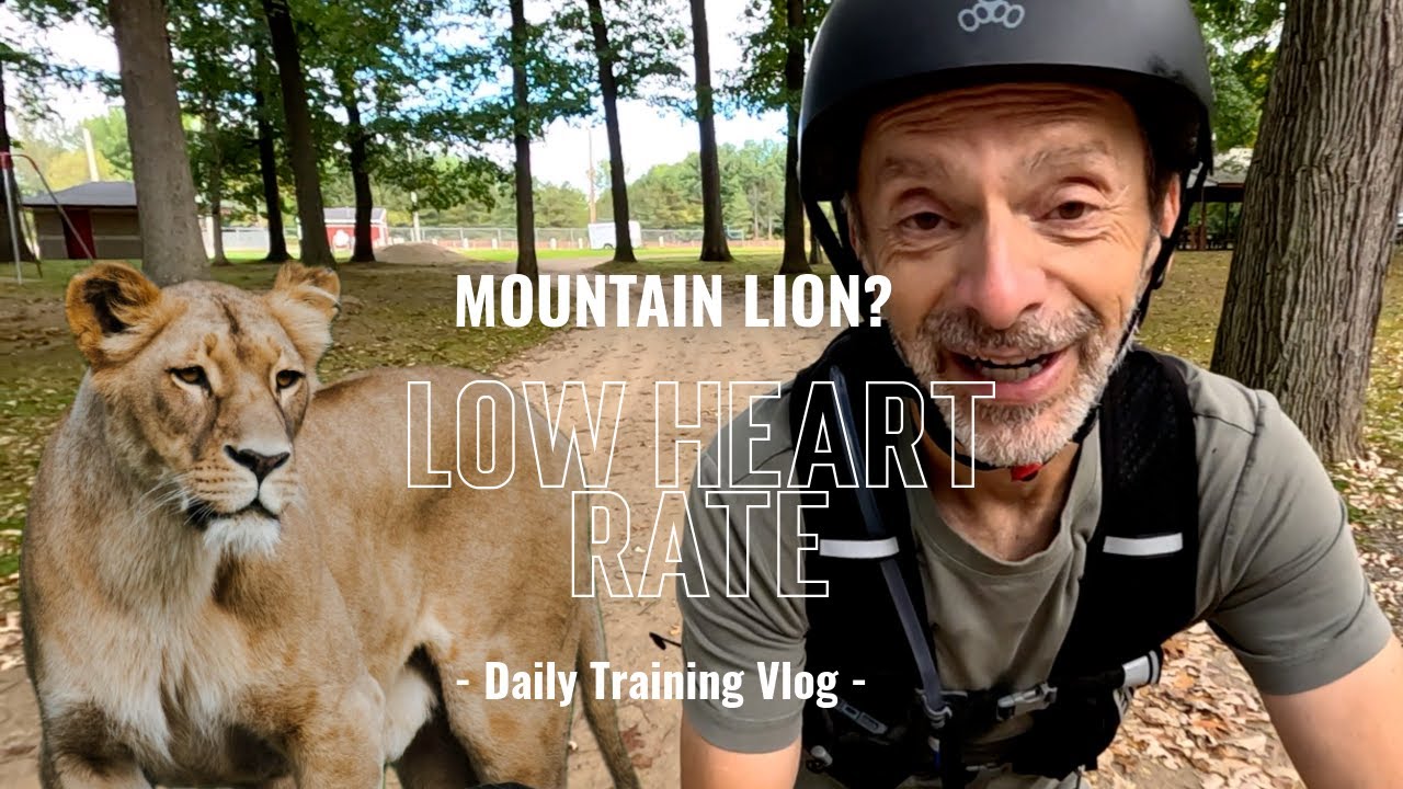 Low Heart Rate Training | Is This a Mountain Lion or Bobcat | Daily ...