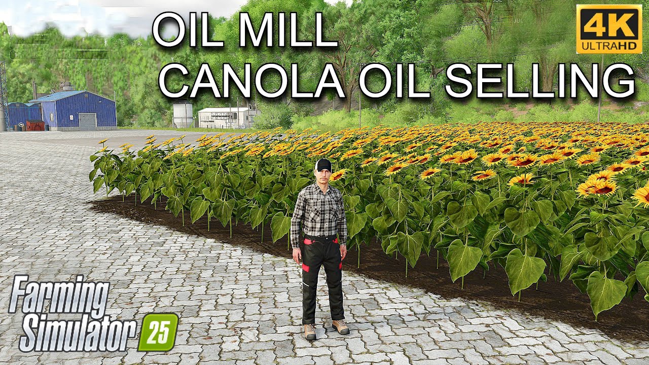 Making 10,000$ from CANOLA OIL | FARMING SIMULATOR 25 | FS25 CANOLA OIL ...