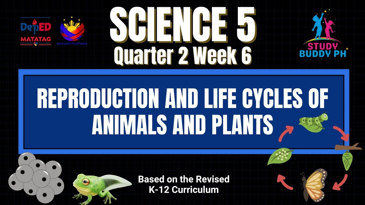 Science 5 Quarter 2 Week 6 - Reproduction and Life Cycles of Animals ...