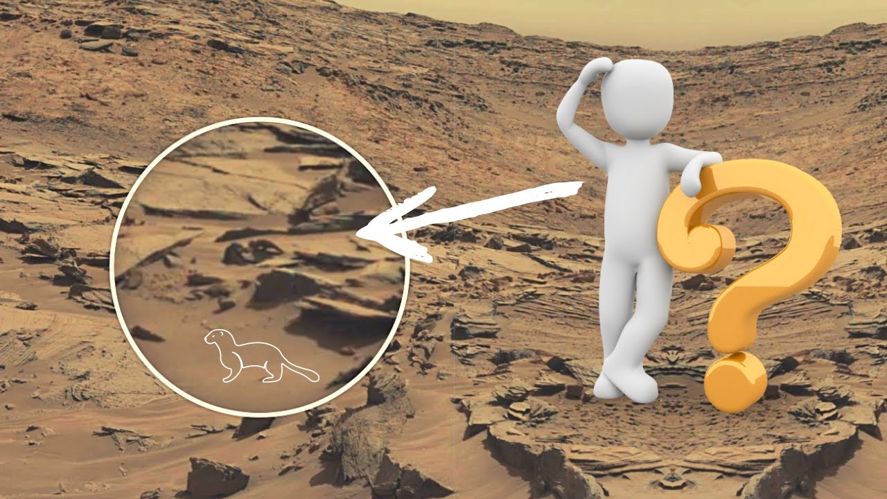 [#MARS] - *Proof of LIFE* on MARS | LATEST 4K IMAGES FORM MARS BY ...