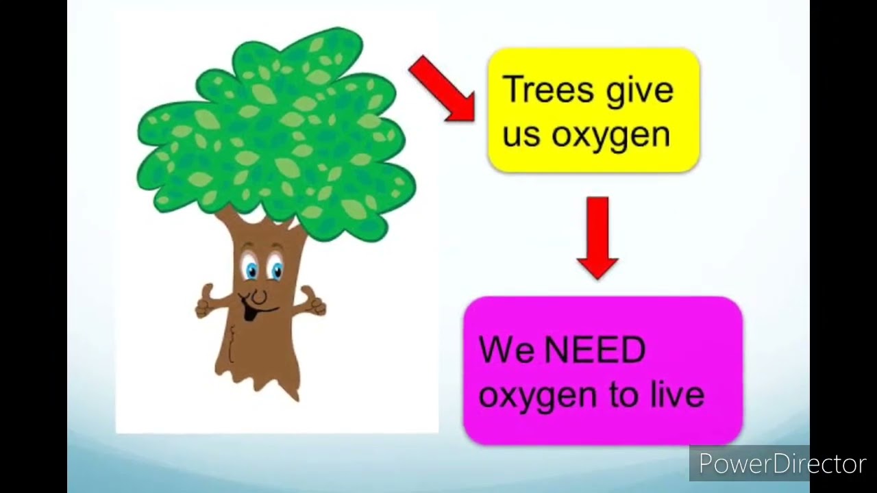 Trees For You And Me | Kids Science | No Trees, No Life | Class UKG ...