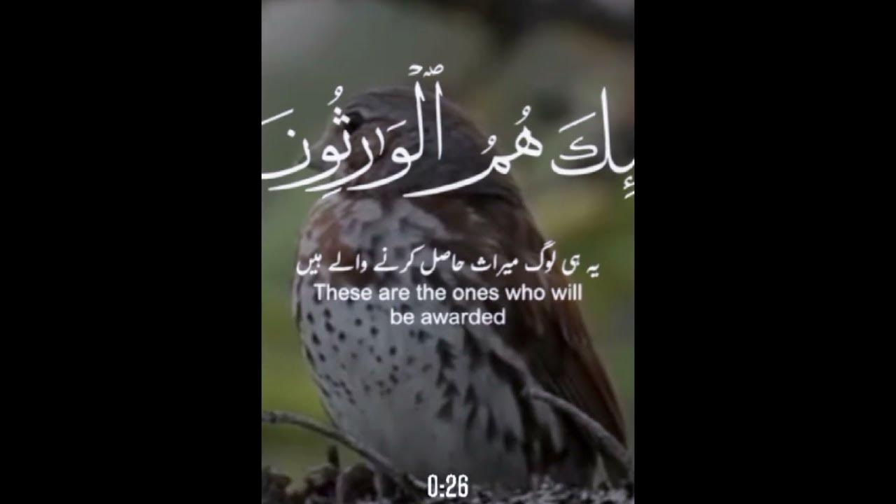 Pashton official search islamic vlag tilawat Quran New trending YouTube ...