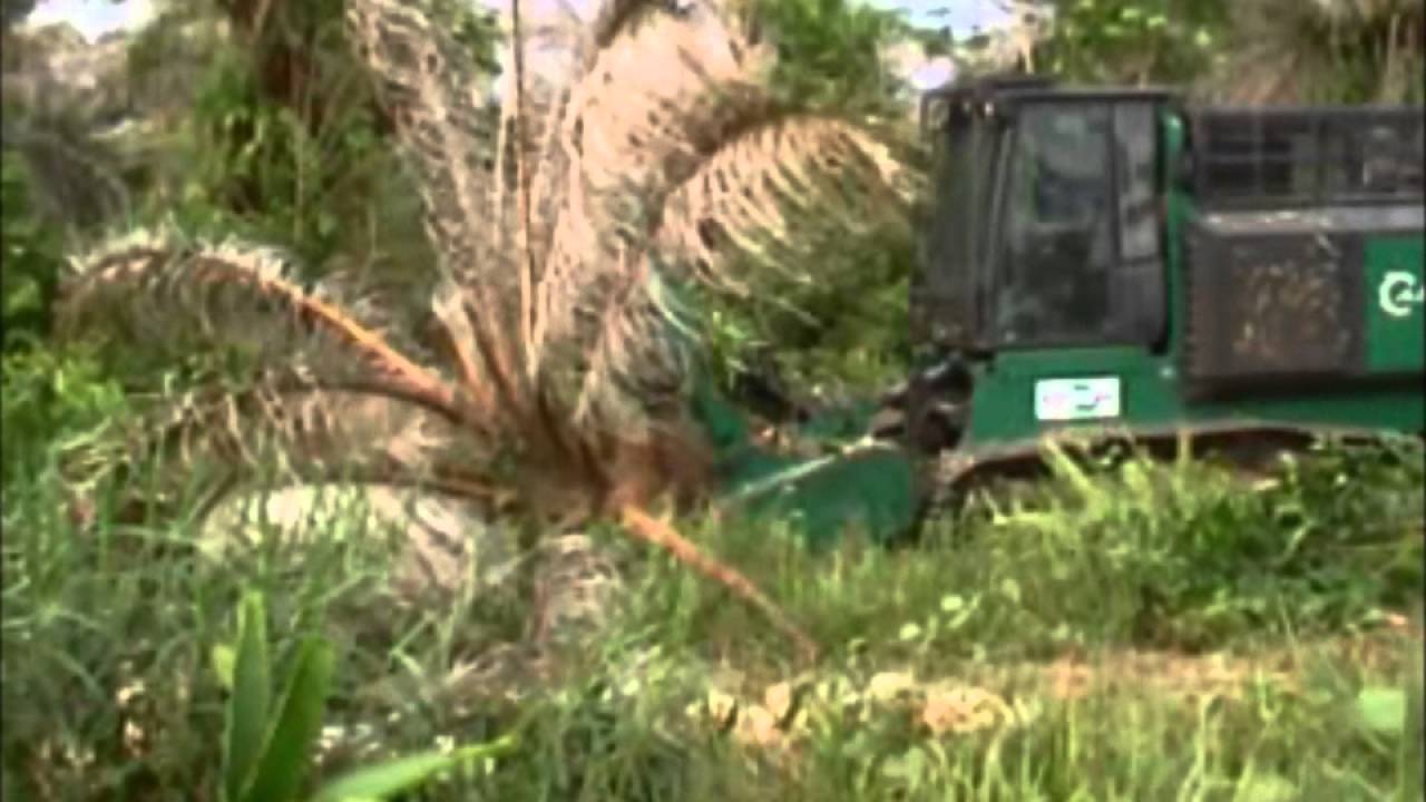 Oil Palm Shredding in Brasil - YouTube