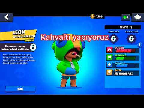 Nita ve leonun okul hikayesi