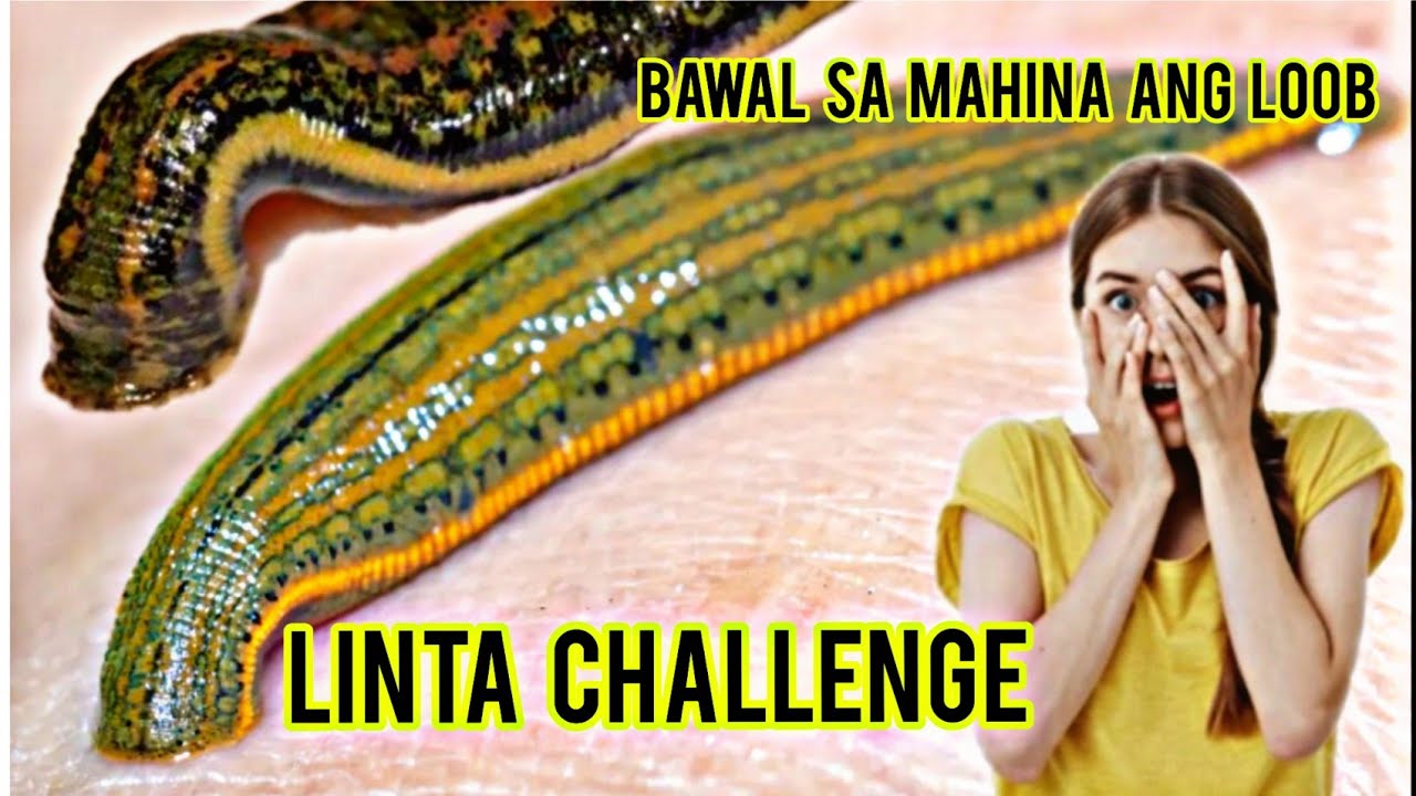 LINTA CHALLENGE | TAMANG PARAAN PARA TANGGALIN ITO SA BALAT - YouTube