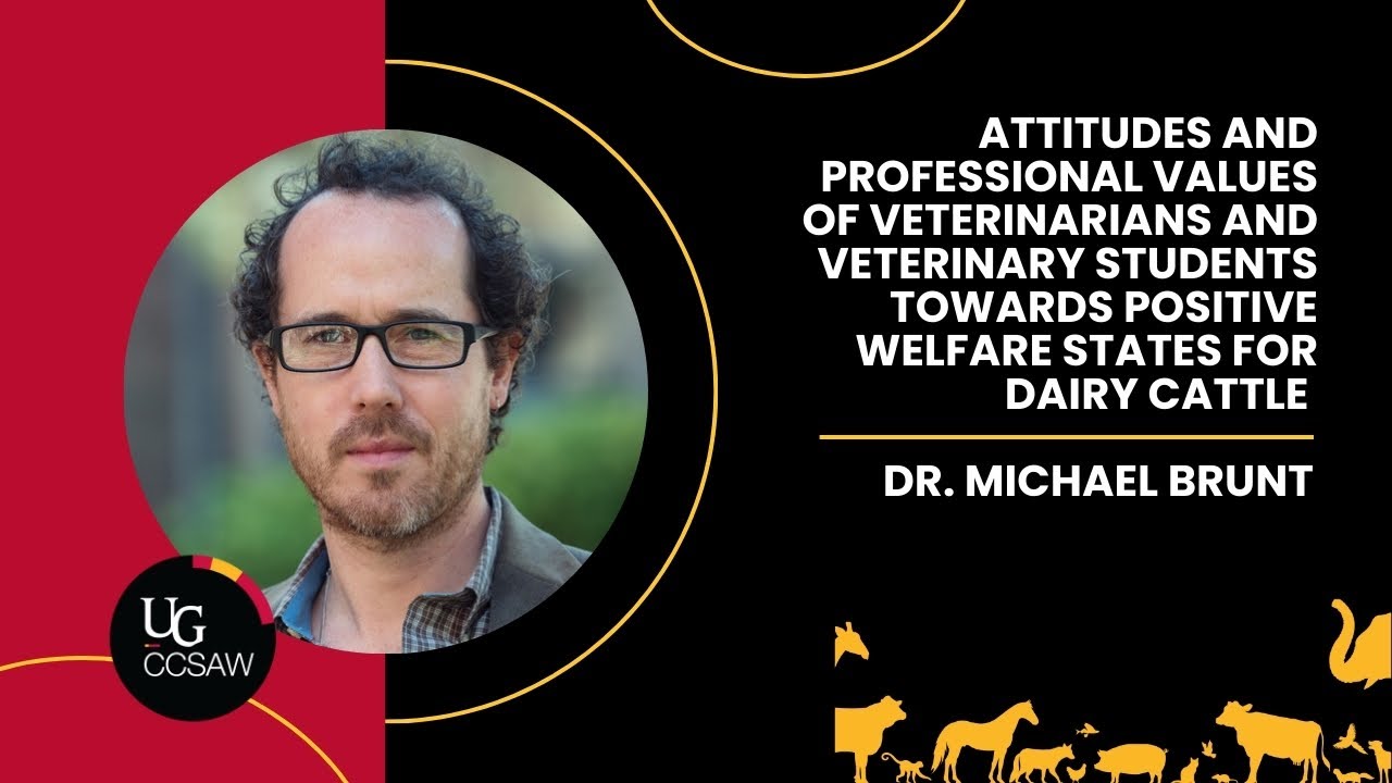 Attitudes and professional values of vets and vet students towards positive welfare by Michael ...