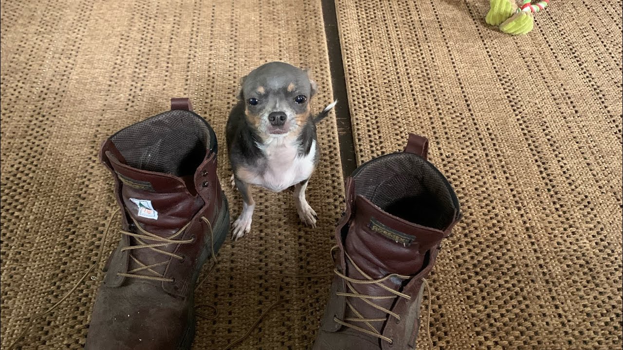 The Warden - YouTube