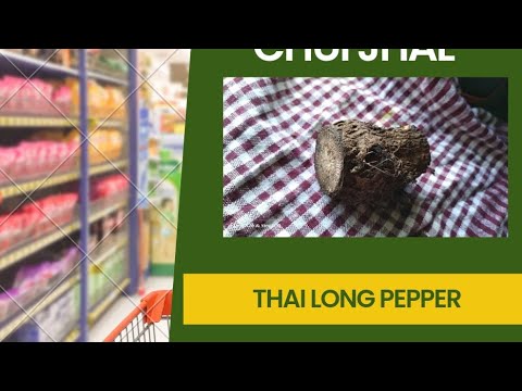 Chui Jhal | Choi Jhal | Thai Long Pepper - Wonder Spices with health ...