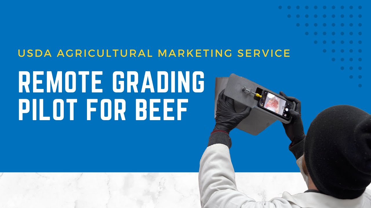 USDA Remote Grading Pilot: Product Preparation, Grading, and Results ...