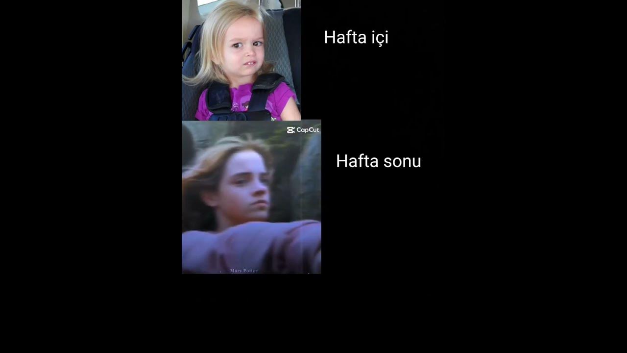 Emmawatson Tomfelton Dainelradclife Rupretgrint Evannalynch Youtube