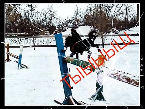козлёнок маленький//поняш//коняш//