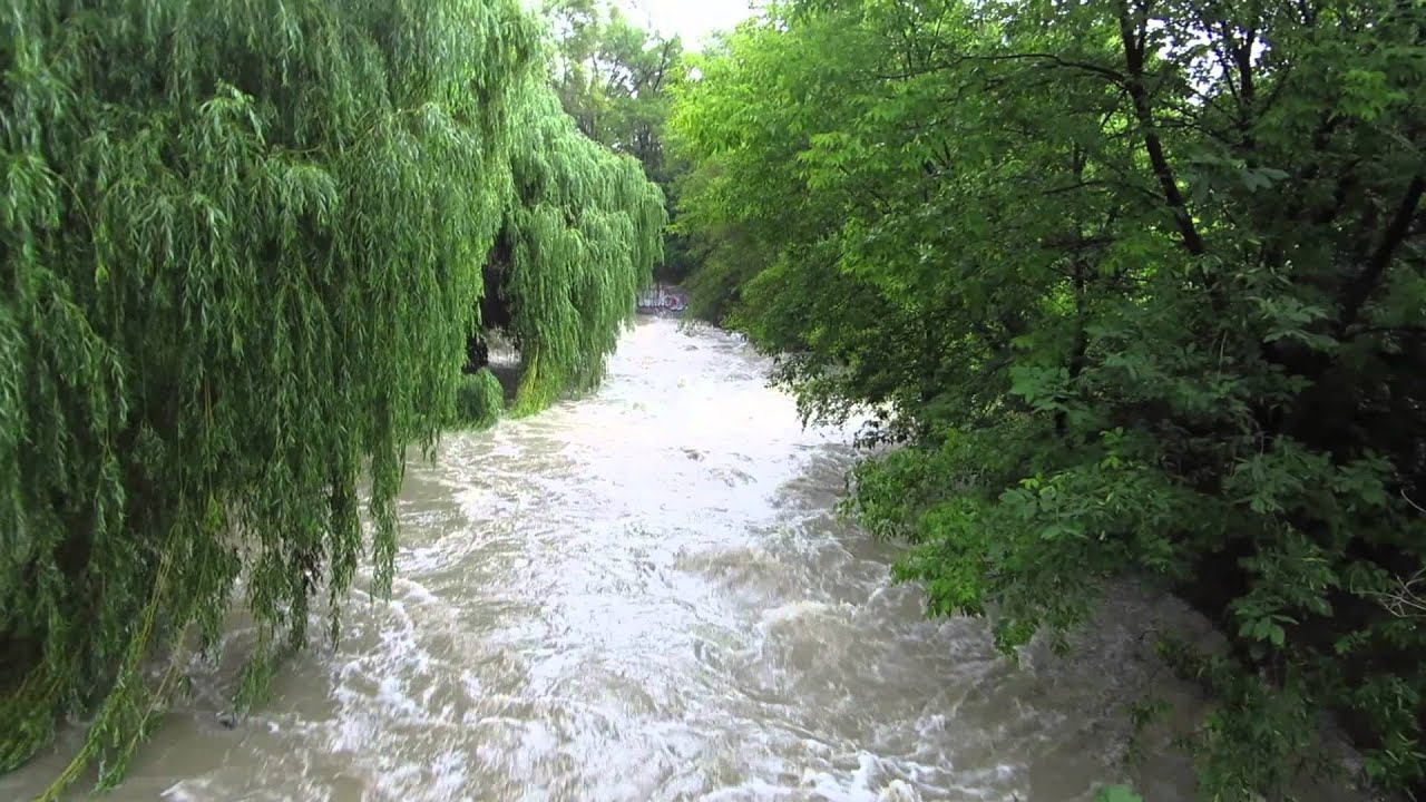 Black Creek Ravine Flooding - Toronto, ON July 7, 2013 - YouTube