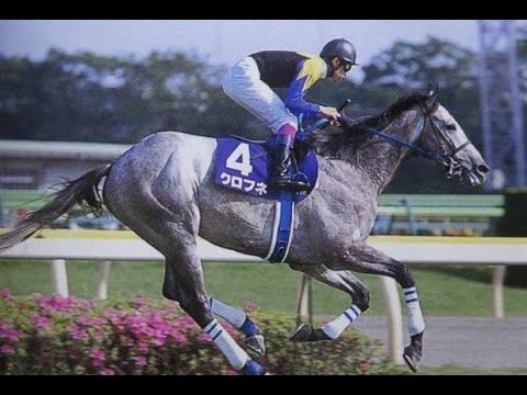 クロフネ 2001年 5月6日 NHKマイルC G1 JRA 競走馬 芦毛 フレンチデピュティ産駒 - YouTube
